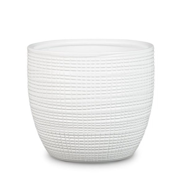 Panna Cover Pot 4.75" (12 cm) — Cactus en Ligne