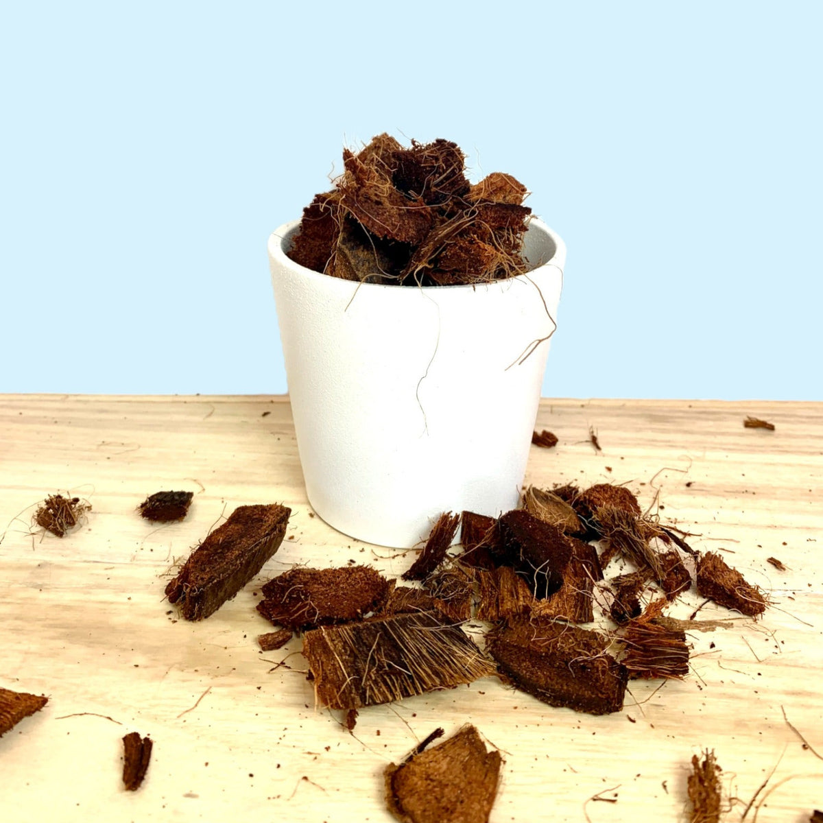 Coco Mulch — Cactus en Ligne